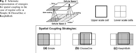 Schematic Representation Of Strategies For Spatial Coupling In The Case