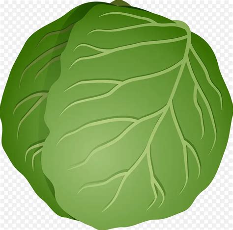 Png Qbawwala