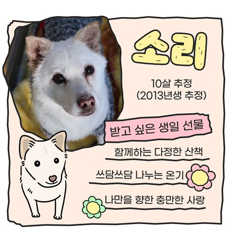 생일파티 초대 님께