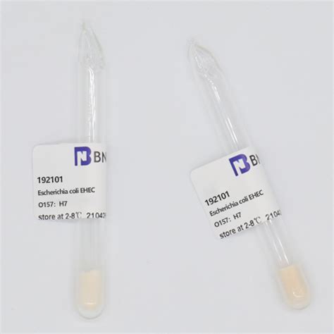 Escherichia Coli Ehec O157h7bncc192101 Bncc