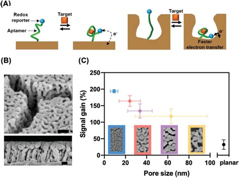 A Schematics Of Electrochemical Aptamer Sensors On Planar Left And Download Scientific