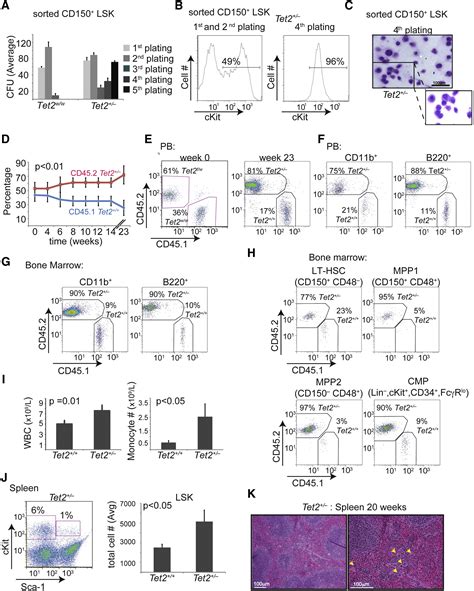 Tet2 Loss Leads To Increased Hematopoietic Stem Cell Self Renewal And Myeloid Transformation