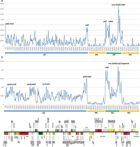 Comparison Of The Nucleotide Variability Pi Values A Among The Download Scientific Diagram