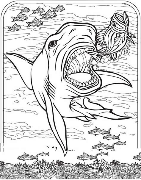 Tubarão Assustador para colorir imprimir e desenhar Colorir Me