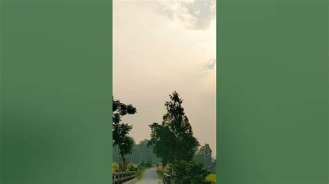 আলহামদুলিল্লাহ সকালের প্রাকৃতিক দৃশ্য মাশাআল্লাহ অনেক সুন্দর Youtube