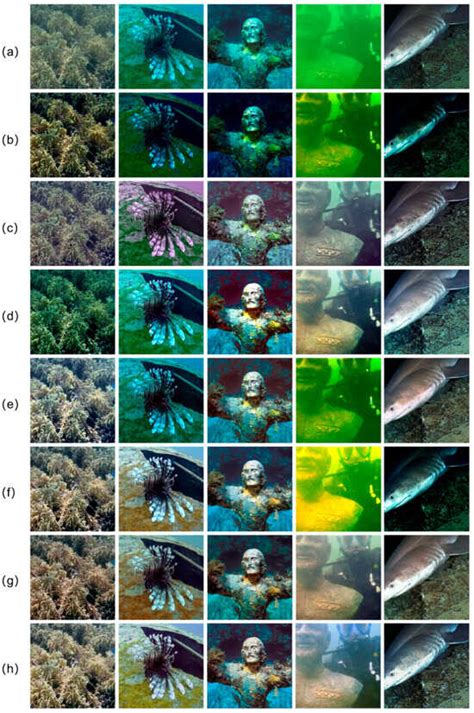 Underwater Image Enhancement Using Dynamic Color Correction And Lightweight Attention Embedded