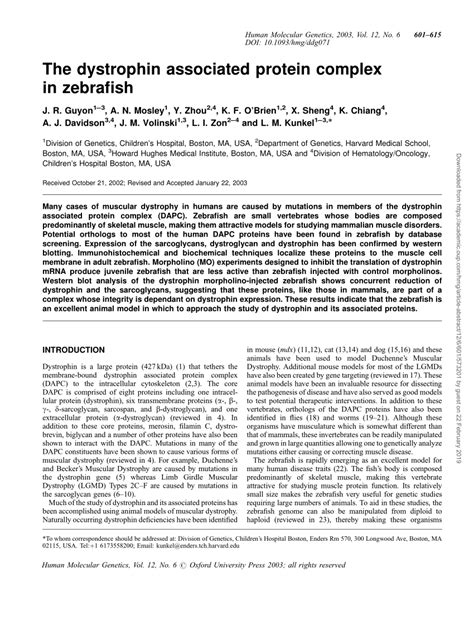 Pdf The Dystrophin Associated Protein Complex In Zebrafish