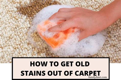 How To Get Old Stains Out Of Carpet The 6 Effective Ways Cleaning