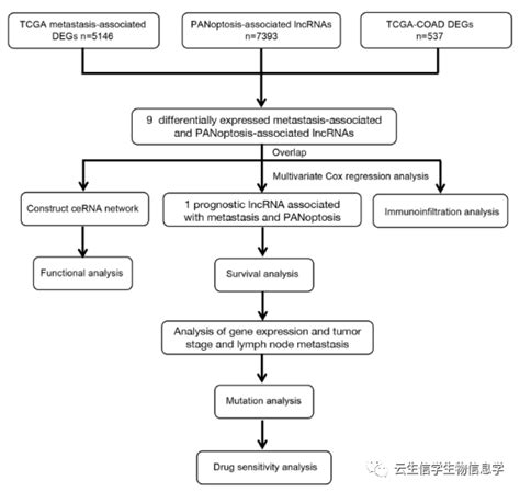 紧跟热点！细胞花式死亡中panoptosis（广泛凋亡）相关的生信分析文章已经发表了，快来学习一下吧！ 知乎