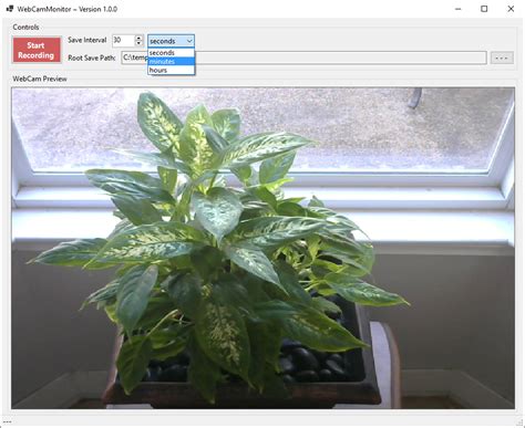 Blogs C WinForms WebCam Monitor