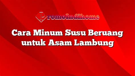 Cara Minum Susu Beruang Untuk Asam Lambung PromoIndihome