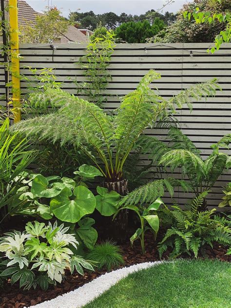 Small Tropical Gardens Tropical Garden Design Small Courtyard Gardens