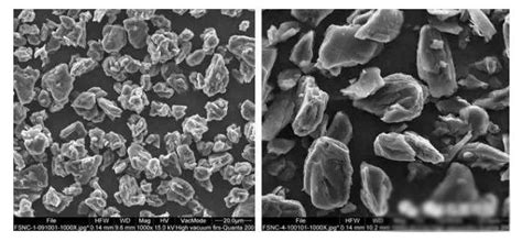 Anode Vs Cathode Materials For Lithium Batteries Complete Guidelines NPP POWER