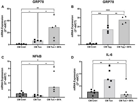 Conditioned Medium From Cells Under Er Stress Regulates Gene Expression