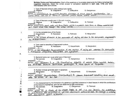 Sas Study Study Study Bs Medical Laboratory Science Studocu