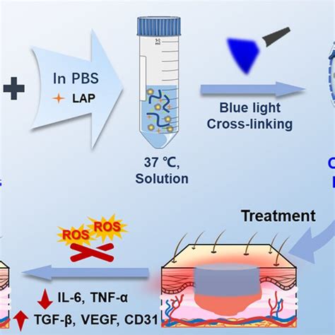 Pdf In Situ Forming Ros Scavenging Hybrid Hydrogel Loaded With
