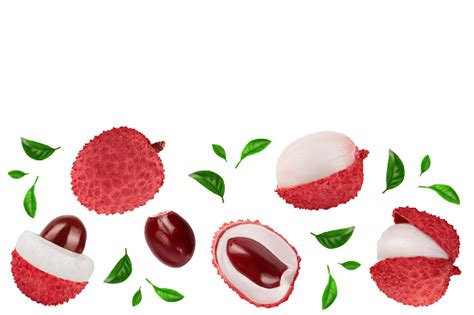 클리핑 경로와 피사계 심도가있는 흰색 배경에 고립 된 열매 열매 맨 위 보기 텍스트의 복사 공간이 있는 플랫 레이 리치에 대한