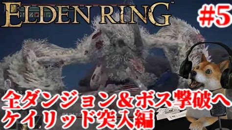 5 エルデンリング 全てのボスとダンジョンを攻略し、狂い火の王となる悪魔狩人【elden Ring】 ゲーム情報【まとめ動画】