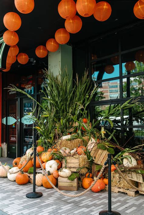 Pier 57 Pumpkin Patch Nyc — Average Socialite