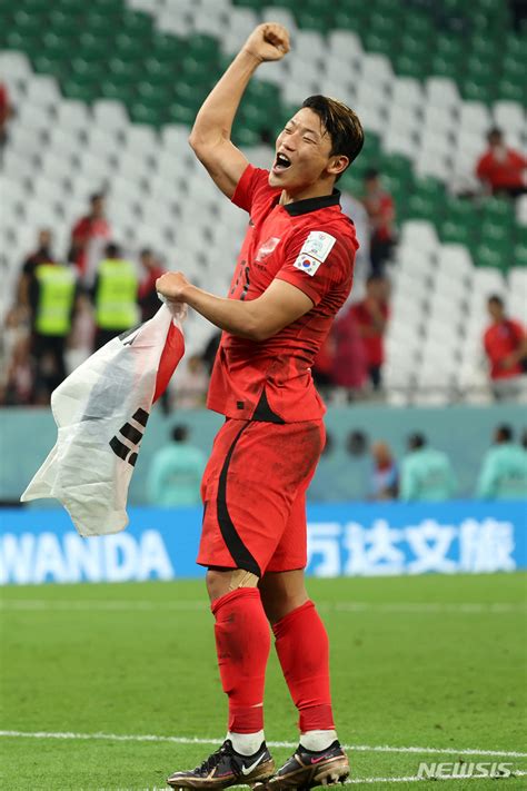 대한민국 16강 이끈 황희찬 네이트 스포츠