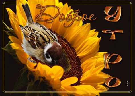 Элегантная и утончённая открытка Доброе утро Скачать бесплатно на