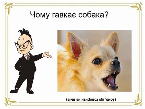 Презентація Загадки від Знайки Презентація Дидактичні матеріали