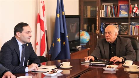 შეხვედრა შოთა რუსთაველის საქართველოს ეროვნული სამეცნიერო ფონდთან