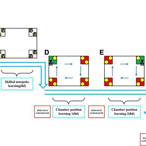 intellicage behavioral testing experimental design a free