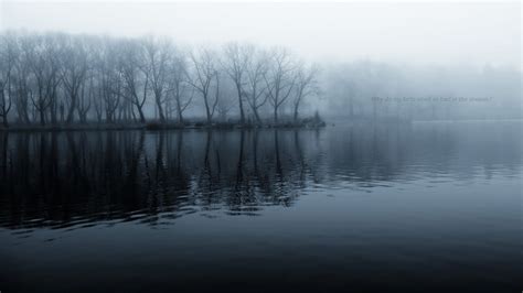 배경 화면 햇빛 나무 호수 물 반사 겨울 해돋이 아침 안개 습지 날씨 새벽 저수지 서식지 자연 환 경 대기 현상 1920x1080 Jase