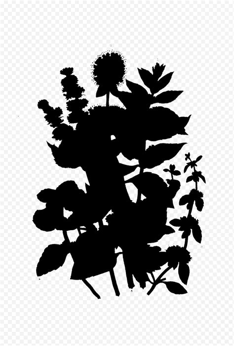 ภาพเงาต้นไม้ครอบครัว ดอกไม้ ใบไม้ การแตกกิ่งก้าน พืช ดำและขาว ลายฉลุ Vascular Plant Png