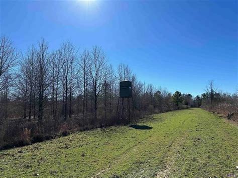 550 Acre Hunting Property W Camp Ouachita River Catahoula Parish