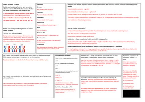Edexcel Biologyb A Level Topic 8 Revision Mat Teaching Resources