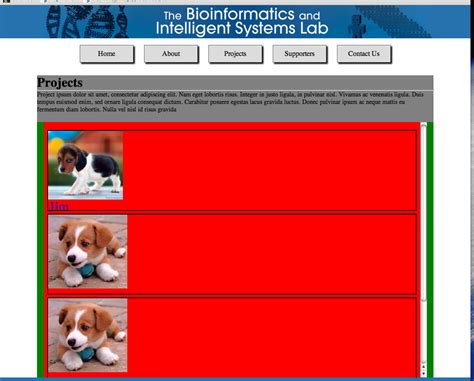 Css How To Put Html Picture Text On The Same Line In A Div Stack Overflow