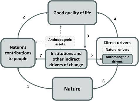 The Ipbes Conceptual Framework Boxes Denote The Basic Components Of Download Scientific