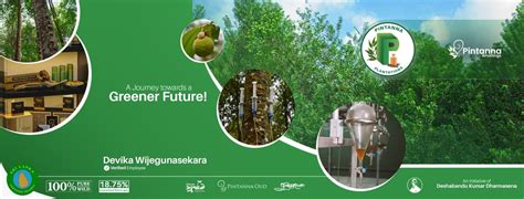 Sandun Oushada 🌱🌱power Hand Plantation🌱🌱 🌱🌱ඔබත් පරිසර හිතකාමී හරිත අයෝජනයක් කර මිලියනපතියෙකු