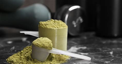 Macronutrients Matter Plant Based Protein Powders And Bars Nellson