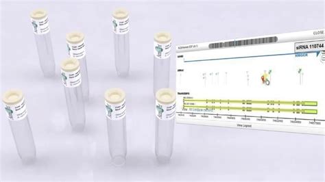 Silencer® Select Pre Designed Validated Sirna Thermo Fisher