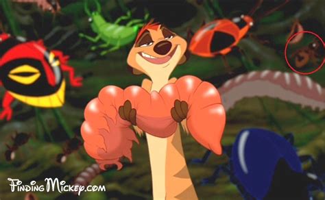 Lion King Timon And Pumbaa Eating Bugs