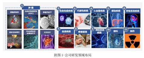 恒瑞医药生物药管线全梳理财富号东方财富网