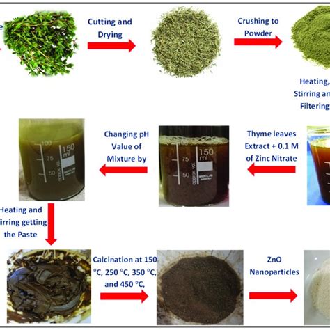 Schematic Representation Of Green Synthesis Process Of Zno Nps By Using Download Scientific
