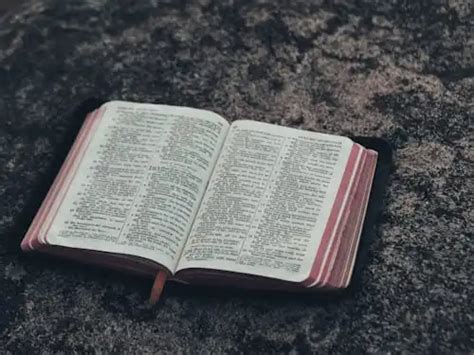 73 Versículos Da Bíblia Sobre O Perdão Do Divórcio