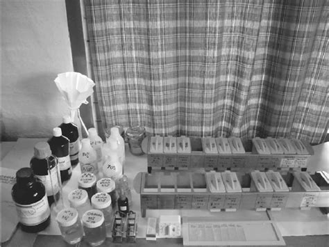 The Laboratory Set Up For The Pap Staining Procedure Download Scientific Diagram