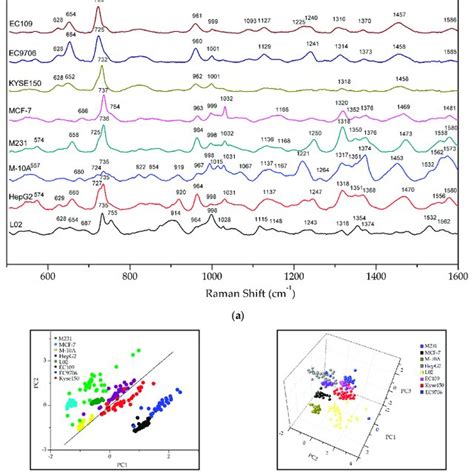 The Raman Phenotypes Of Exosomes Derived From Eight Different Cell