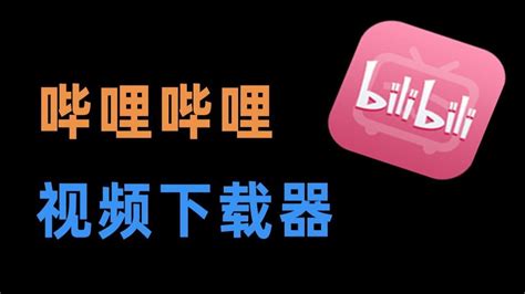 【软件推荐】如何完美保存b站视频？专属下载器了解一下 youtube