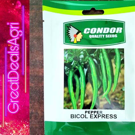 Bicol Expresss Opv Pepper Seeds 15 Grams Condor Seeds Lazada Ph