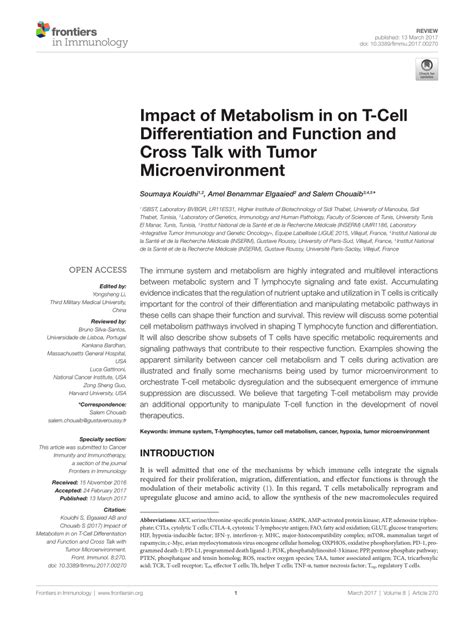 Pdf Impact Of Metabolism In On T Cell Differentiation And Function And Cross Talk With Tumor