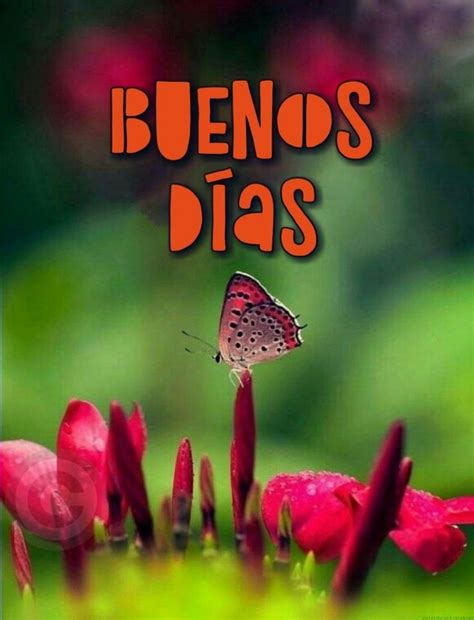 Pin De Ana Magos Gislan 🌷 En Feliz Día Buenos Deseos Del Día