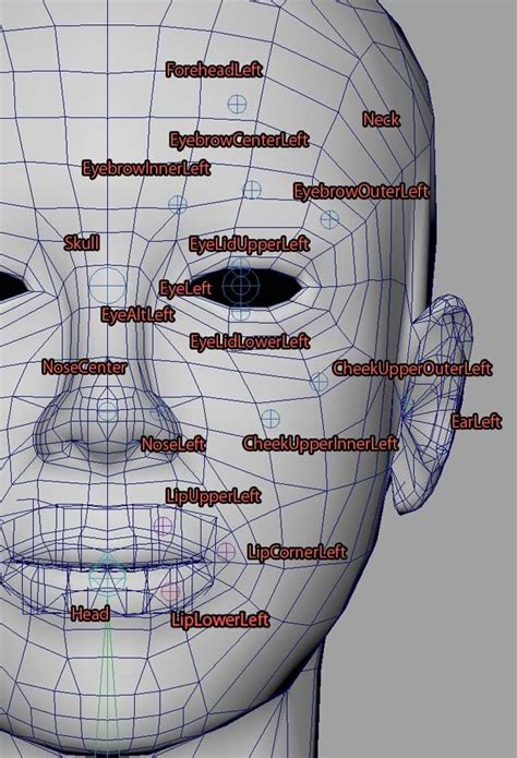 Creating Advanced Face Controls Maya Character Creation Modeling And