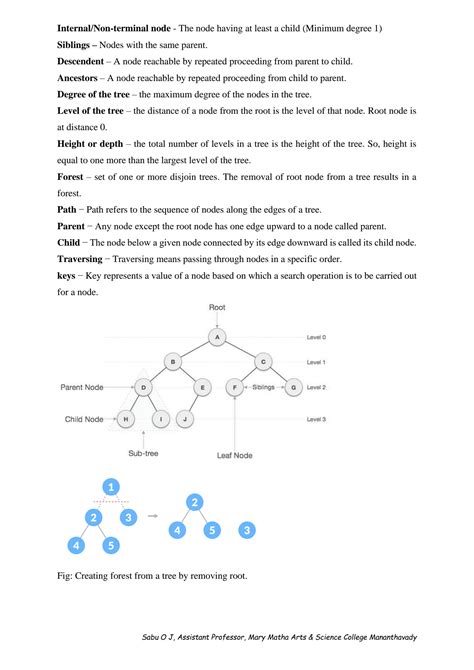 Solution Module 2 1 Tree Basic Terminologies Studypool