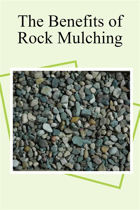 The Benefits Of Rock Mulching Rock Mulch Mulching Organic Mulch